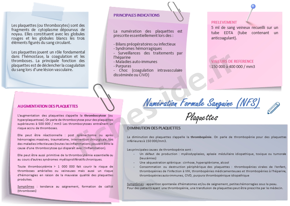 Plaquettes / Cours IFSI - étudiants infirmiers & infirmiers