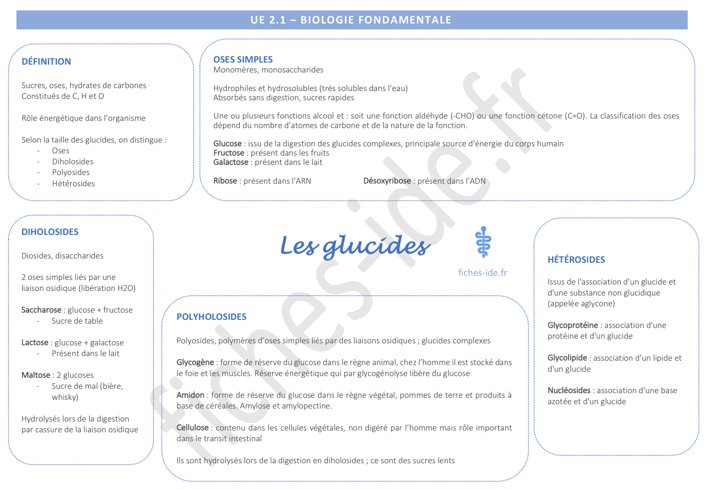 Les glucides - Fiches IDE